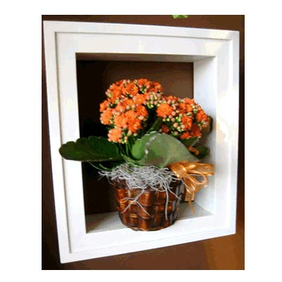 Avalon Floral, Eau Claire, Exotic Flowers, Wisconsin, European Floral ...